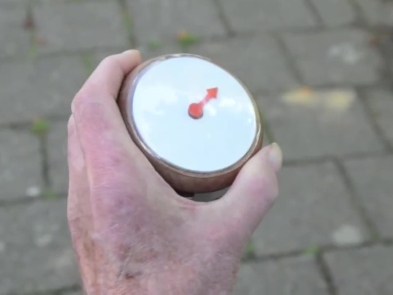 Homing Compass Lets a Single Red Arrow Always Point the Way Back Home ...